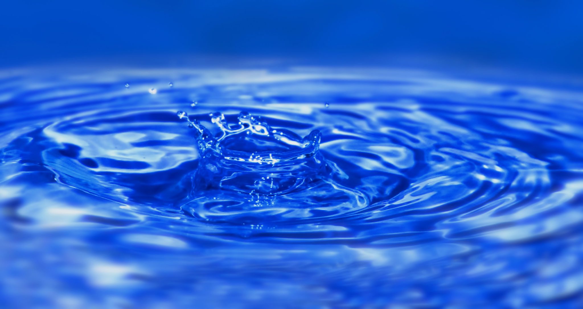 bluewater | Wallace Laboratories - Soil Tests Plant & Water